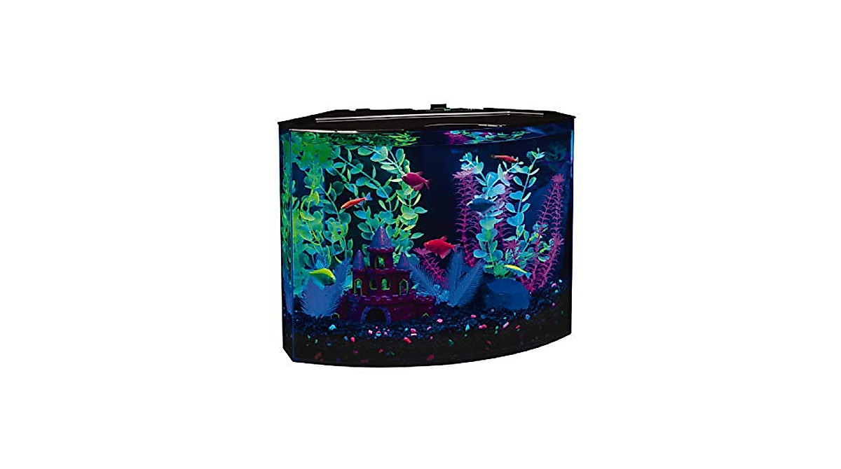 GloFish 5 Gallon Aquarium Kit with LED Lighting