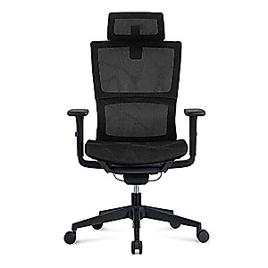 RILOOP Office Chair Chair Ergonomic, Computer Chair Adjustable Seat Height with Back Support and Arms, Desk Chair Comfy, Study Chair for Home, Office and Executive