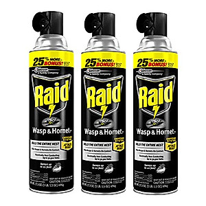 Raid Wasp and Hornet Killer, 17.5 OZ (Pack - 3)