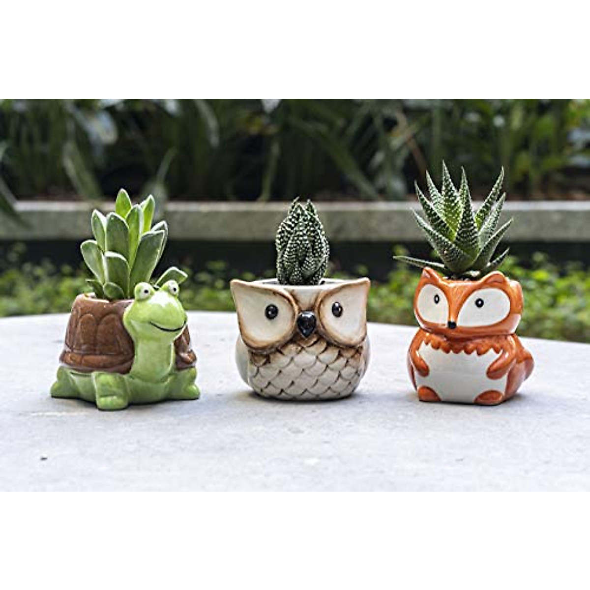 Matty's Garden Animal Ceramic Succulent Planters Set of 6 | 2.5 Inch Small Cactus Pots with Drainage Hole Raccoon Owl Turtle Hedgehog Frog Fox