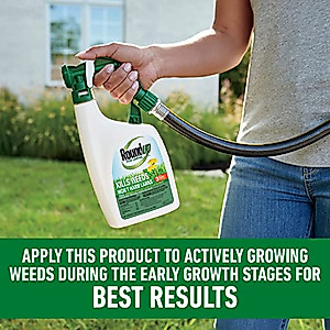 Roundup For Lawns₃ Ready-To-Spray - Tough Weed Killer for Use on Northern Grasses, 32 oz.