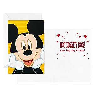 Hallmark Birthday Card Assortment (Kids Disney 12 Cards with Envelopes), 5STZ5015