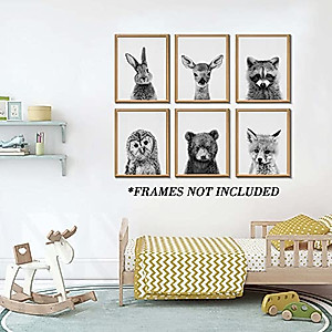 EPHANY Black and White Wall Art, Baby Animal Posters and Prints, Safari Bunny Prints, Nursery Bear Wall Art, Owl Print Wall Art Nordic Picture Kids Room Decoration (YMX017,8"x10"(20x25cm))