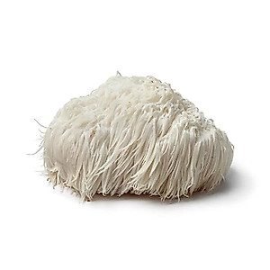 ORIVeDA Lion’s Mane Organic Mushroom Extract 2-Pack - Fruiting Body 180 v-caps, Mycelium 120 v-caps Supports The Brain and Nervous System