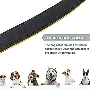 Brilliant Paw Reflective Dog Collar, Adjustable Nylon Collar, Strong Yet Comfortable, Safety Locking Buckle, Length Adjustable for Small Medium and Large Dog