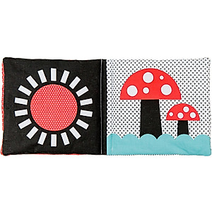 Baby Bunny Organic Soft Book and Teether Set