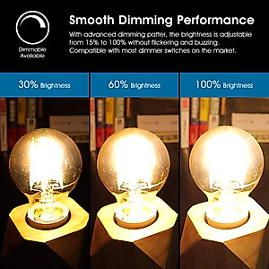 Vintage LED Edison Light Bulbs, A19 Edison Bulbs, 6W Equivalent to 60W, 2200K Warm White, Antique Dimmable LED Filament Bulb, Amber Light Bulbs, Old Fashioned Light Bulbs, E26, 6 Pack