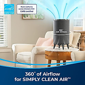 BISSELL® MYair™+ Air Purifier with HEPA Filter for Small Room and Home, Quiet Air Cleaner for Allergens, Pets, Dust, Dander, Pollen, Smoke, Hair, Odors, 3179A