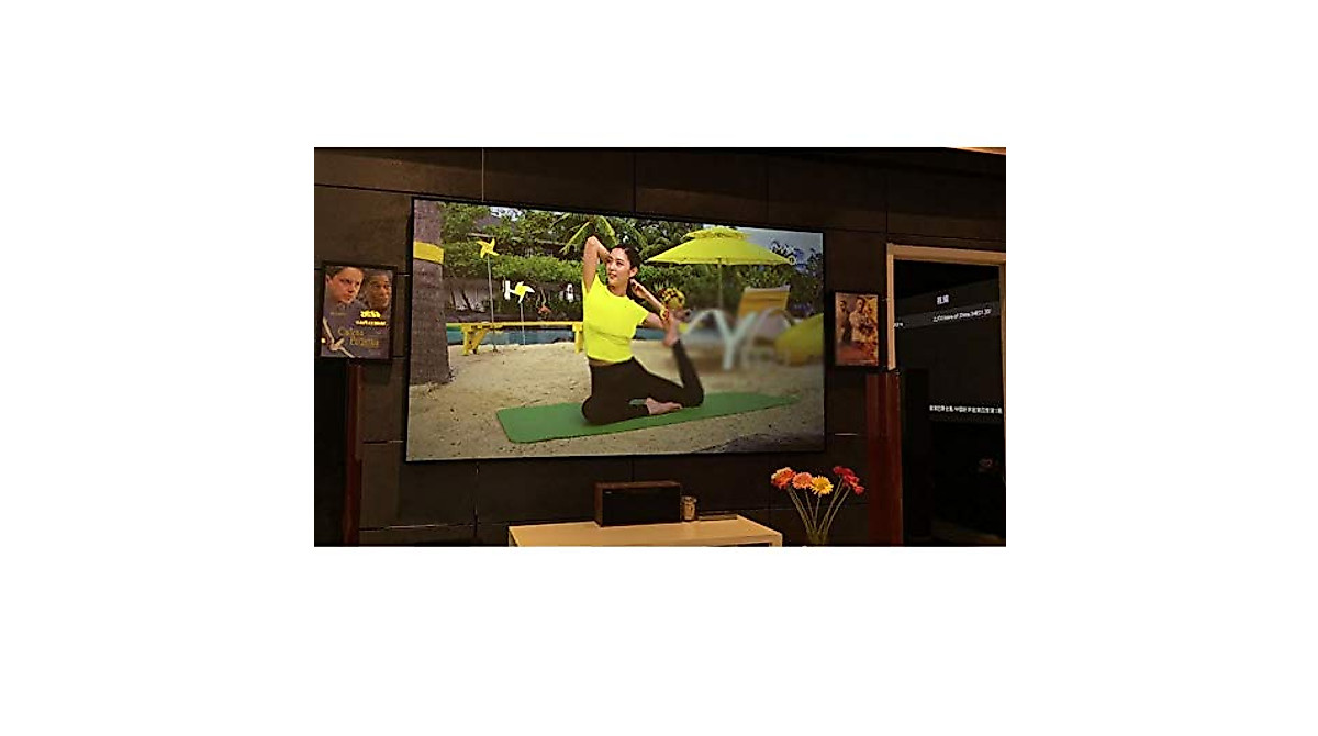 ZLXDP 300-Inch 4K Fixed Frame Projection Screen with ALR Tech
