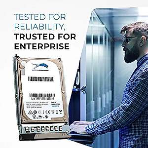 900GB 15K SAS 2.5" HDD for Dell PowerEdge Servers | Enterprise Hard Drive in 14G Tray