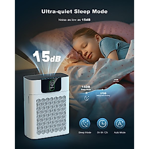 WESTHEY Official Genuine HY4866 Replacement Filter TRUE HEPA Filter, Four-layer high-efficiency purification filter Suitable for WESTHEY HY4866 Air Purifier, Pet Filter 2 PCS