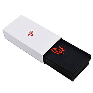 Wireless Powerpoint Presentation Remote Clicker and Keynote Presenter with Wireless Mouse (PR-820) from Red Star Tec