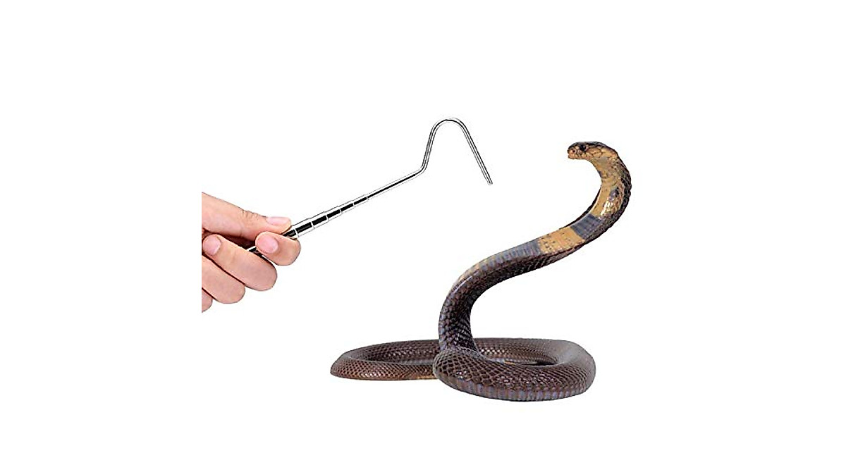 Labuduo Reptile Capture Hook, Extensible Reptile Catcher, Stainless ...