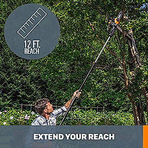 Worx WG323 20V Power Share 10" Cordless Pole/Chain Saw with Auto-Tension (Battery & Charger Included)