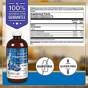 Lifetime High Potency Calcium Magnesium Citrate w/Vitamin D-3 | Bone & Muscle Support | Easy Absorption, Dairy & No Gluten | Blueberry | 16 FL oz