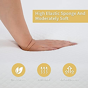 PayLessHere 8 Inch Twin Gel Memory Foam Mattress Fiberglass Free/CertiPUR-US Certified/Bed-in-a-Box/Cool Sleep & Comfy Support