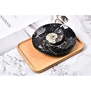 AMOYSTONE Morocco Fossil Bowls Natural Decorative Bowls Orthoceras Fossil Plate Round Stone Tray Unique Quartz Decorative Fossil for Collection, Jewelry Plate, Home Decor 5.5"