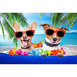 Allenjoy 7x5ft Tropical Beach Background Summer Luau Palm Leaves Ocean Island Seaside Scene Wedding Photography Backdrop Baby Birthday Bridal Shower Party Decoration Banner Photo Booth Props