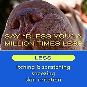 Native Pet Itchy Skin Bundle | Allergy Chews for Dogs (60 Servings) + Omega Oil for Dogs (8oz) | Dog Allergy Relief + Itching Relief for Dogs | Dog Probiotics for Itchy Skin & Dog Fish Oil