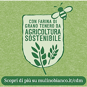 Mulino Bianco Cioccoavena Biscotti con Meno Grassi, Cioccolato Fondente, Fiocchi di Avena e Scorze d'Arancia, Confezione 220