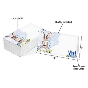 Table Place Card, Easter Tent Style Cards, Pack of 25 Half-Fold Reception Place Card, Cute Easter Egg Bunny, Easter Table Decor for Spring Wedding, Baby Shower, Dinner Party(F02)