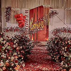 huaao 3000pcs Red Rose Petals for Romantic Night for Bedroom,10pcs Red Heart Balloons 1pcs Love Valentines Day Balloons Anniversary Birthday Honeymoon Wedding Flower Party Supplies DIY Decorations for bedroom