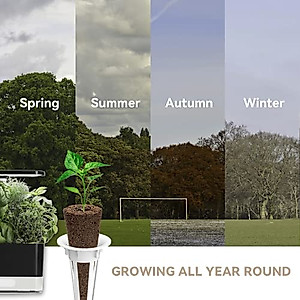 Herb Seed Starter Pod Kit Plant for AeroGarden,MUFGA, inbloom 5 Pods Hydroponics Growing System, Indoor Garden, 7-Pods (300+ Seeds Included Basil, Parsley, Oregano, Thyme, Mint, Cilantro, and Dill)