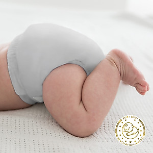 Amazing Baby Hybrid Cloth Diaper Cover/Swim Diaper, Small, Sz 2 (8-15 lbs), Use Boosties Disposable or Reusable Inserts, Gray, SmartNappy Set: Cover + Tri-Fold + Booster Pad