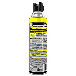 Raid Wasp and Hornet Killer (17.5 Ounce (Pack of 1))