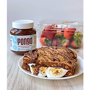 Pongo Cocoa Hazelnut Protein Spread - Low Sugar, Low Carb Sauce, Keto-Friendly Chocolate Dessert Topping (13 oz Jar)