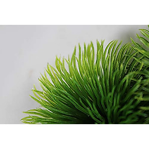 Penn-Plax Fish Breeding Grass – Baby Hideout for Fry – Great for Livebearers and Egg Layers – Plastic Aquarium Plants – 2 Pieces