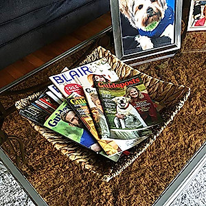 Trademark Innovations Modern Basket, 3 Piece