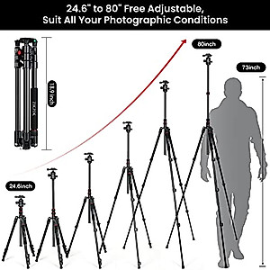 ZIKZOK 80" Camera Tripod,Travel Lightweight Heavy Duty Tripods & Monopods with 360°Ball Head,Phone Holder,33lb Load,Compatible with DSLR Cameras,Smart Phone,Projector,Webcam,Spotting Scopes