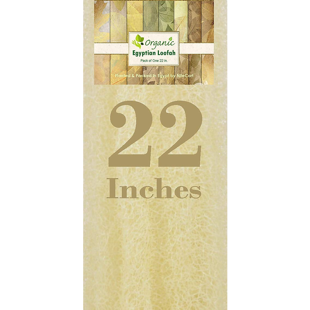 NileCart Egyptian Loofah Sponges Natural Exfoliating Body Wash Gourd, Loofah Bath Sponges for Skincare, Exfoliating Back Scrubber (One Whole Loofah 22")