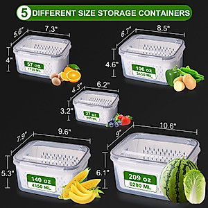 KETNET 5 Size Fruit Vegetable Storage Containers for Fridge with Colander and Lid Refrigerator Storage Containers Bins Organizer for Fruit Food Produce, Lettuce Keeper Keep Fruit Fresh Longer
