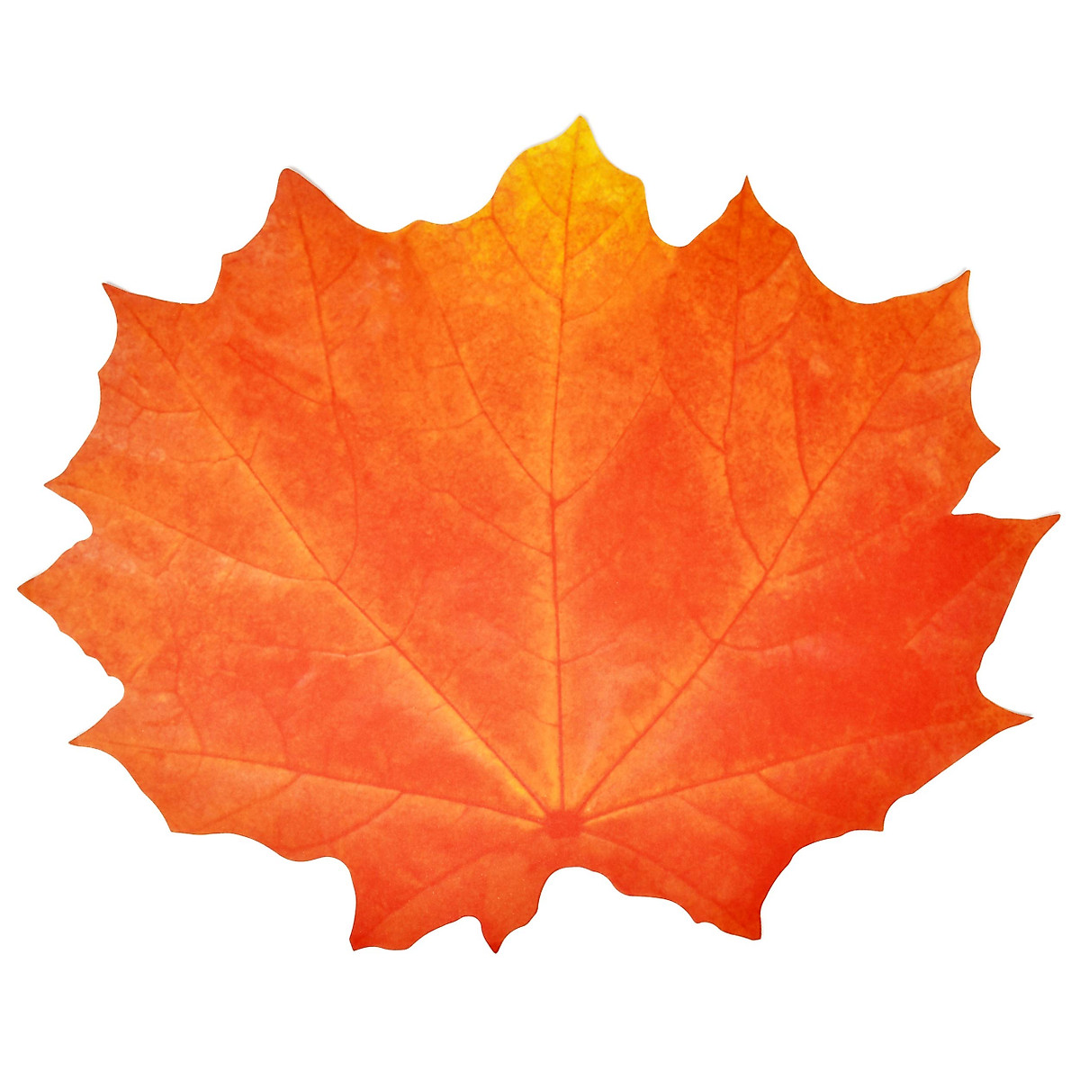 Gift Boutique 48 Pcs Paper Harvest Leaf Place Mats Orange Thanksgiving Autumn Maple Leaves Shaped Coated Table Mat 12" x 16" Fall Turkey Crafts Party Supplies Decor