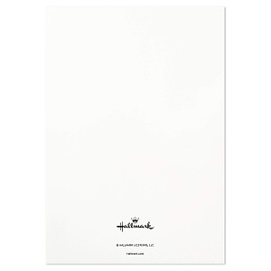 Hallmark Assorted Sympathy Cards (Flowers, 12 Cards and Envelopes)