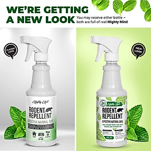 Peppermint Oil Rodent Repellent Spray and Concentrate - Makes 1 Gallon