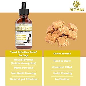 Natural Yeast Infection Relief for Dogs | Supports Healthy Itch & Inflammation Relief | Dog Ear Infection Treatment | 1 oz