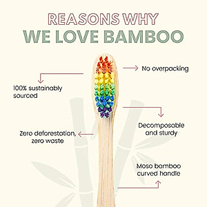 The Future is Bamboo – Rainbow Bamboo Toothbrush for Kids, Pack of 4 Children’s Bamboo Toothbrushes with Soft Wave Bristles