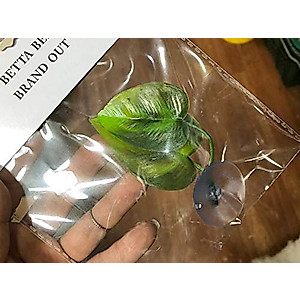 CousDUoBe 2 Pack Betta Fish Leaf Pad Improves Betta's Health by Simulating The Natural Habitat - Natural, Organic, Comfortable Rest Area for Fish Aquarium