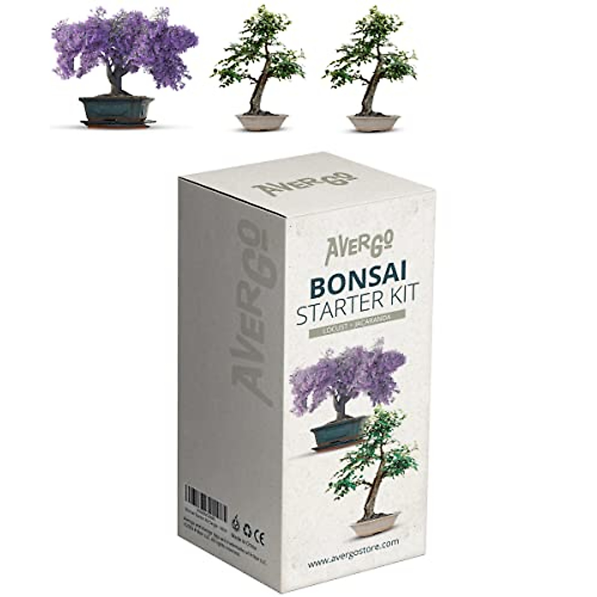 Bonsai Tree Seed Kit - Japanese Bonsai Trees 1x Jacaranda + 2X Locust | Complete Indoor Starter Kit for Growing Bonsai Seeds + Tools + Planters | Gardening Gifts for Women & Men