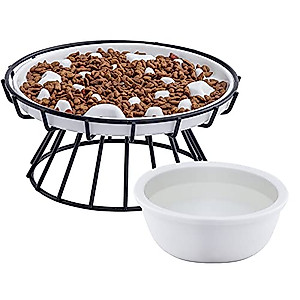 Elevated Slow Feeder Bowl for Cats and Small Dogs with Stand and Water Bowl, Ceramic Raised Cat Puzzle Food Plate, Healthy Eating Anti Vomiting Pet Feeding Dish, Against Bloat, Indigestion, White