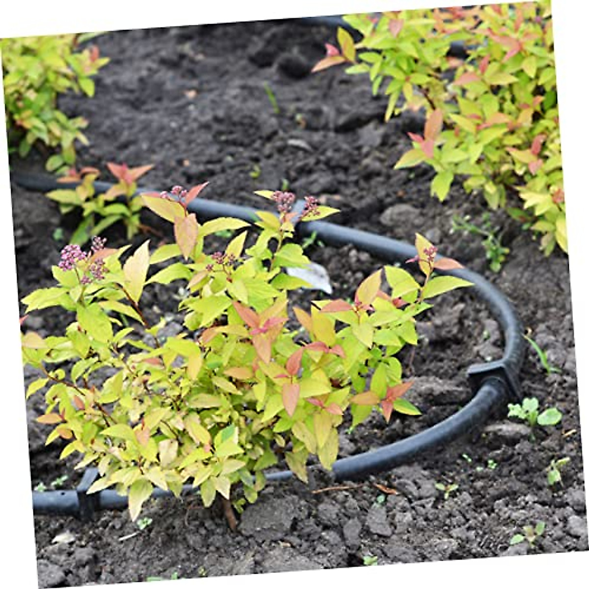 Yardenfun 1 Set Patio Misting System Outdoor Trampoline Outdoor Hose Misting Cooling System Trampoline Water Sprinkler Outside Patio Misters Trampoline Cooling Tool Garden Water Sprinkle Set