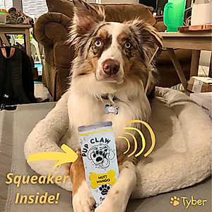 Nestpark Pup Claw Dog Toys - Funny Cute Plush Dog Toys with Squeaker - Parody (2 Pack) (Tropical Pack)