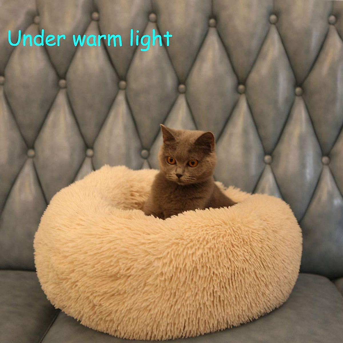 BODISEINT Modern Soft Plush Round Pet Bed for Cats or Small Dogs, Mini Medium Sized Dog Cat Bed Self Warming Autumn Winter Indoor Snooze Sleeping Cozy Kitty Teddy Kennel (20'' D x 8'' H, Champagne)