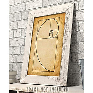 Fibonacci Spiral - 11x14 Unframed Art Print - Makes a Great Gift Under $15 for Artists