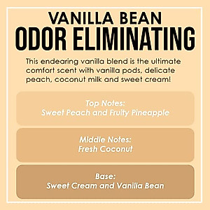 Vanilla Bean Odor Eliminating Highly Fragranced Candle - Eliminates 95% of Pet, Smoke, Food, and Other Smells Quickly - Up to 80 Hour Burn time - 12 Ounce Premium Soy Blend