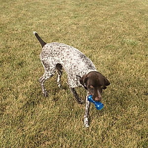 ADUCK Dog Chew Toys Squeaky Tooth Cleaning Bone (Dumbbell Series) Bite Resistant Squeeze Squeaker Puppy Dog Toys for Aggressive Chewers Training and Playing -7.09 inches (Crystal Blue - Large)