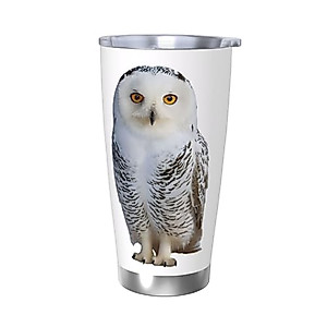 jshmgchw 3d Owl 20oz Tumbler, Car Cup With Lid And Straw, Spill-Proof, Stainless Steel Double Wall Vacuum Insulated Reusable Coffee Travel Mug, For Cold Drinks, Hot Beverage